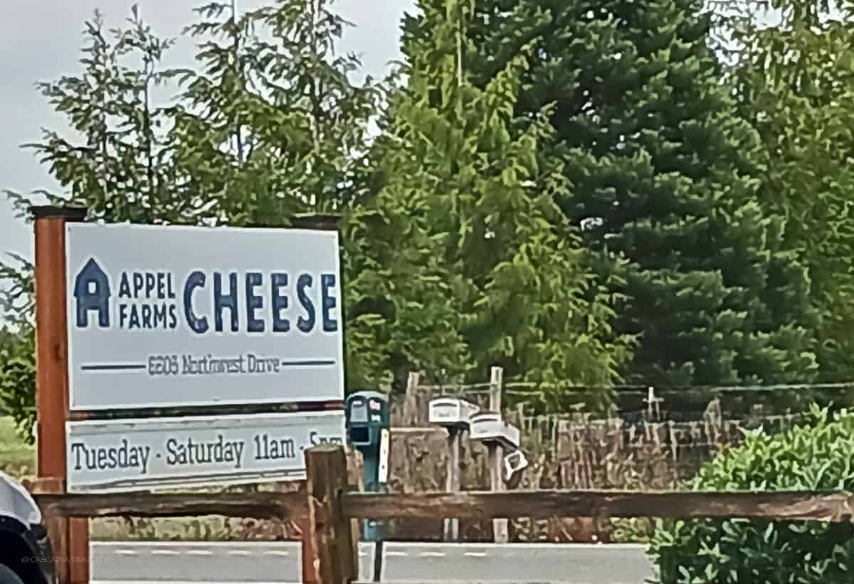 Appel Farms Cheese Shop in Ferndale, WA: A Friendly Experience ...