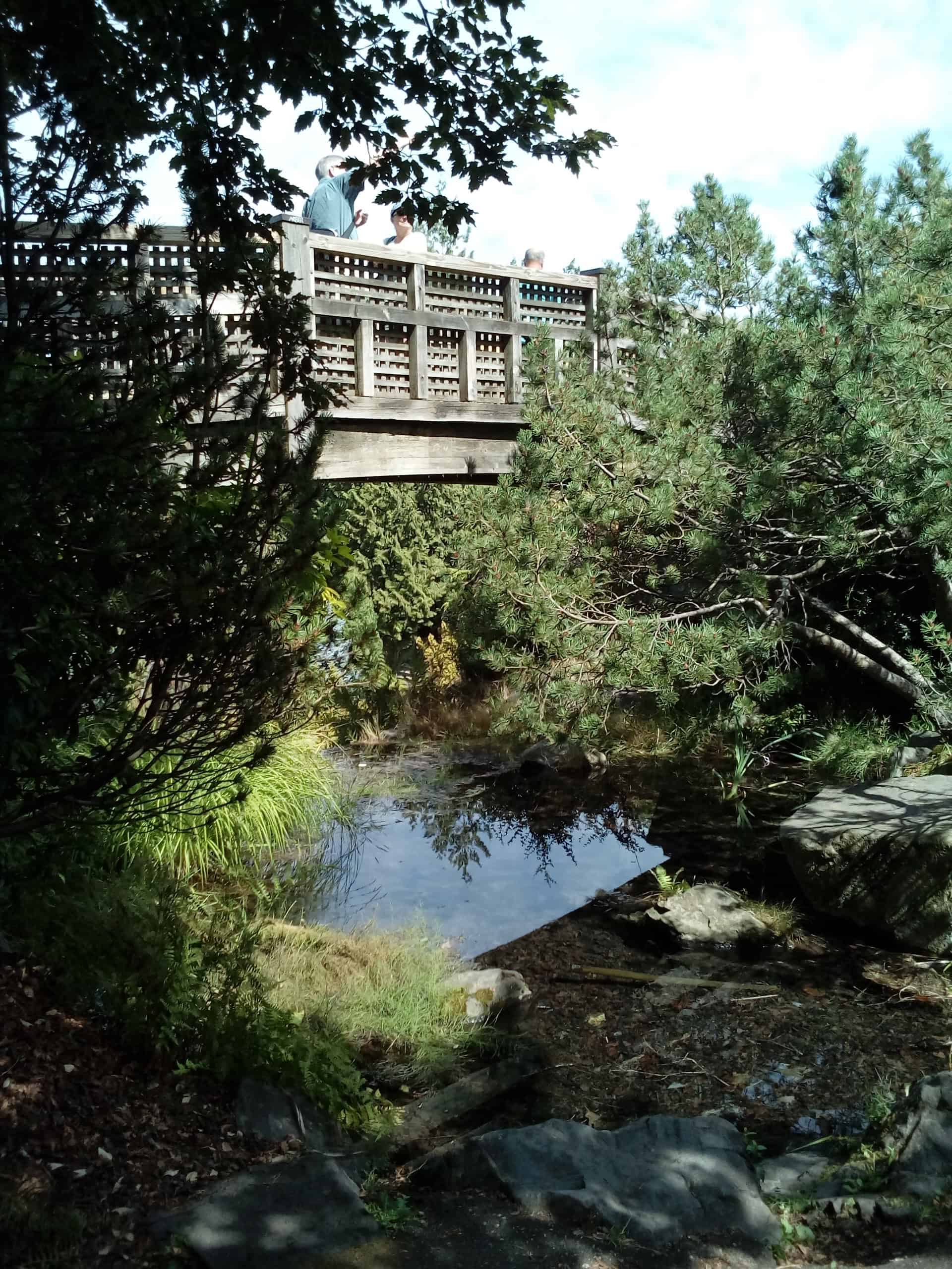 Queen Elizabeth Park: Vancouver, B.C.’s Hidden Gem – Cascadia Traveler