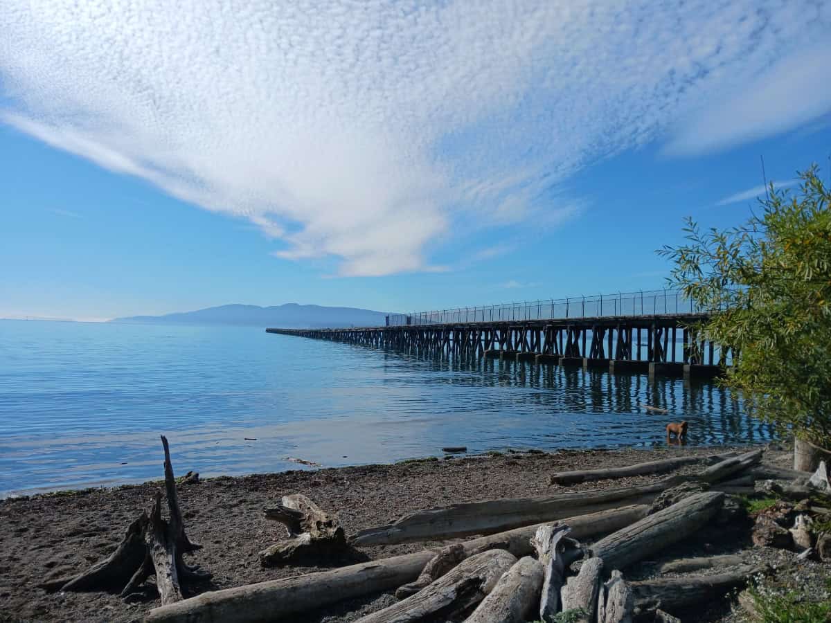 New Pier at Little Squalicum Park Gives Bellingham Fresh Waterfront ...